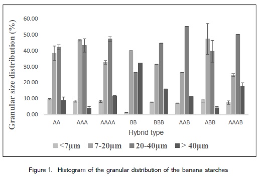 Morphometric Variations of Banana Starch | Enliven Archive